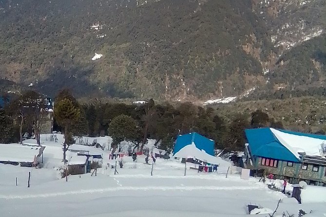 Annapurna: 5 Days Poon Hill Circuit Trek from Pokhara - Authentic Experiences and Travel Tips