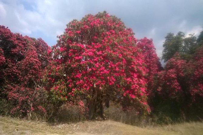 Annapurna Base Camp Trek - 11 Days - FAQ