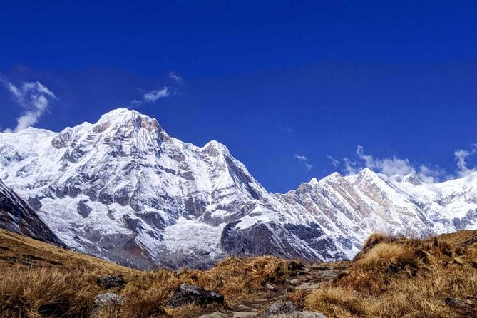 Annapurna Base Camp Trek- 11 Days - The Star: Annapurna Base Camp