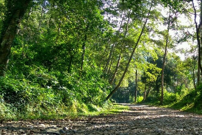 Annapurna Base Camp Trek- 11 Days - The Real Deal: What Travelers Say