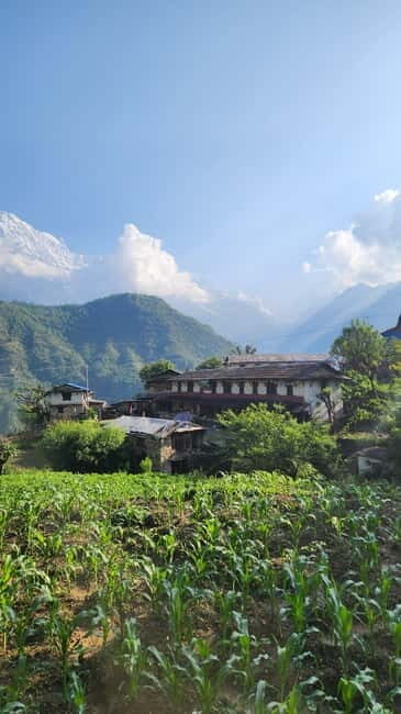 Annapurna Base Camp Trek: 12-Day Guided Tour - Key Points
