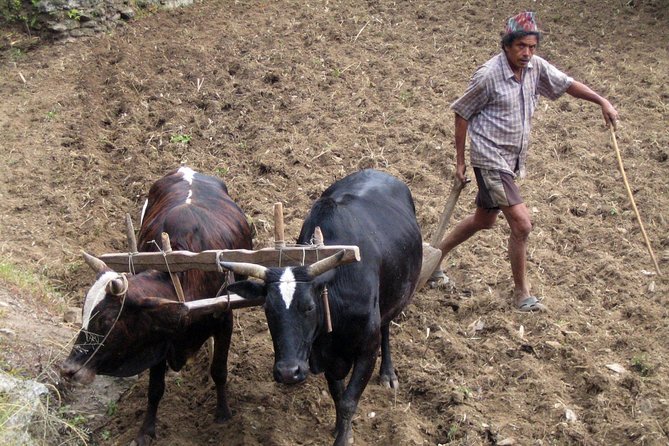 Annapurna Base Camp Trek - Frequently Asked Questions