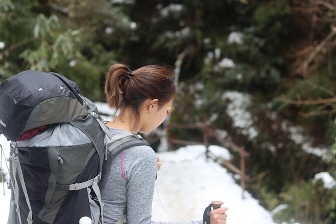 Annapurna base camp trek - Authentic Reviews: What Trekkers Say