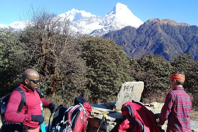 Annapurna Base Camp Trek - Authentic Experiences Our Travelers Raved About