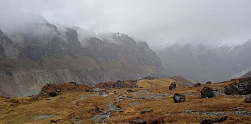 Annapurna Base Camp Trek - Final Thoughts