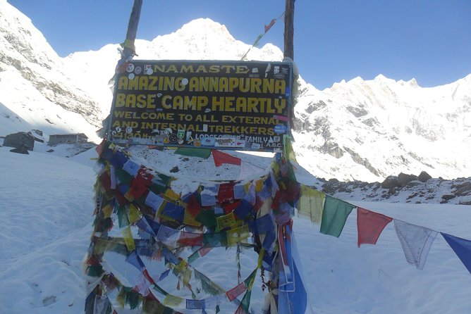 Annapurna Base Camp Trekking - 14 Days - Ascending Through Villages and Forests