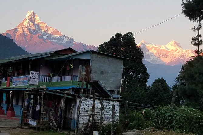 Annapurna Base Camp Trekking - 14 Days - Into the Mountain Heart: Tadapani and Chhomrung
