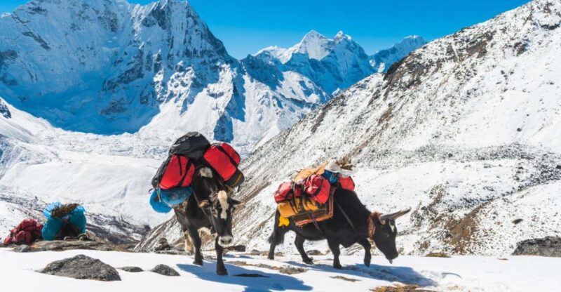 Annapurna circuit and Tilicho lake 17 Days Trek - The Experience: What Travelers Say