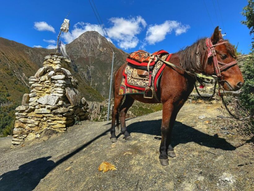 Annapurna Circuit Trek - 12 Days - The Sum Up