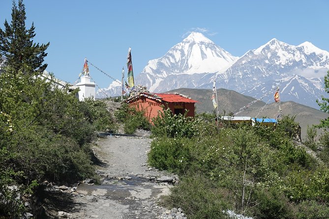 Annapurna circuit Trek - Up Higher: From Upper Pisang to Manang