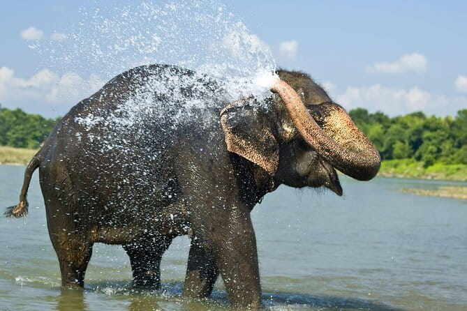 Annapurna Circuit Trek - The Sum Up