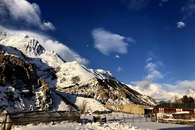 Annapurna Circuit Trek - Authentic Feedback from Travelers