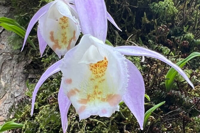 Annapurna Circuit Trek in Nepal (9 Days) - Summing Up: Is This Trek for You?