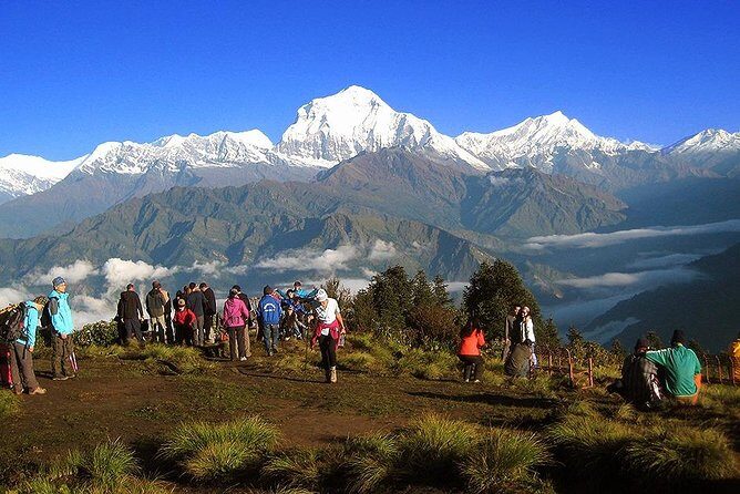 Annapurna Dhaulagiri Khopra Trekking - The Itinerary Breakdown: What to Expect