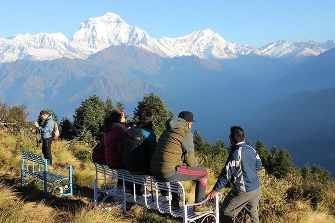 Annapurna Ghorepani Poon Hill trek from Pokhara short and easy hike in Himalaya - What Travelers Love
