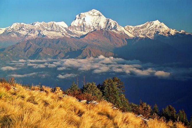 Annapurna Ghorepani Poonhill Trekking - Key Points