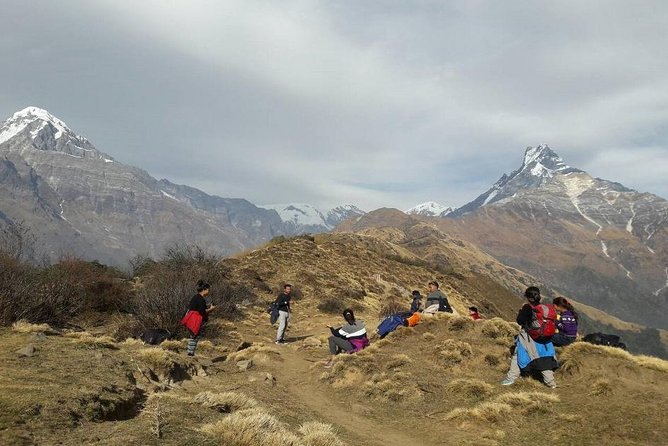 Annapurna: Mardi Himal Base Camp Trek - Detailed Breakdown of the Trek Experience
