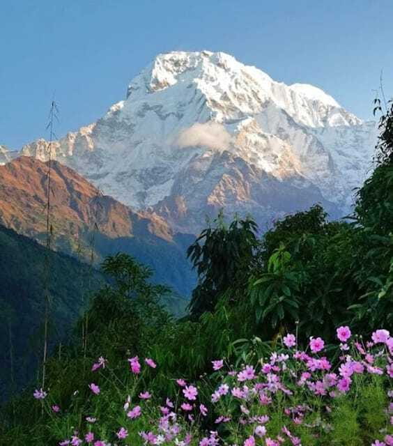 Annapurna Middle Peak Expedition 2025 | 2026 - Who Should Consider This Expedition?