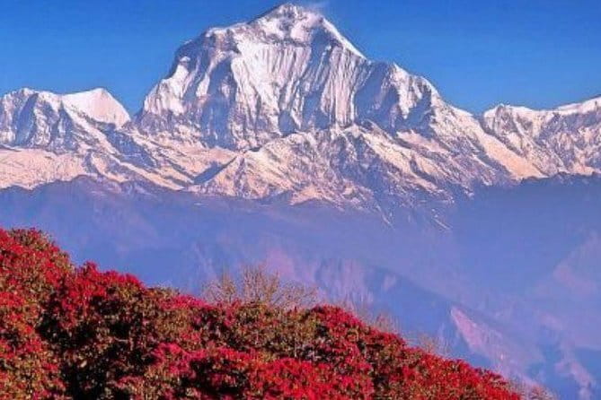 Annapurna Poon hill Sunrise Trek - The Logistics and What They Mean for You