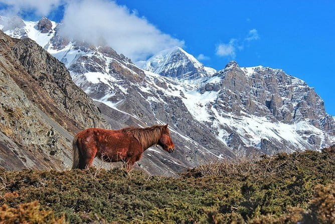 Annapurna Poon hill Sunrise Trek - Authentic Mountain Village Experiences