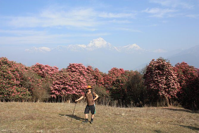 Annapurna Poon Hill Trekking - 4 Days from Pokhara - The Heart of the Experience: A Day-by-Day Breakdown