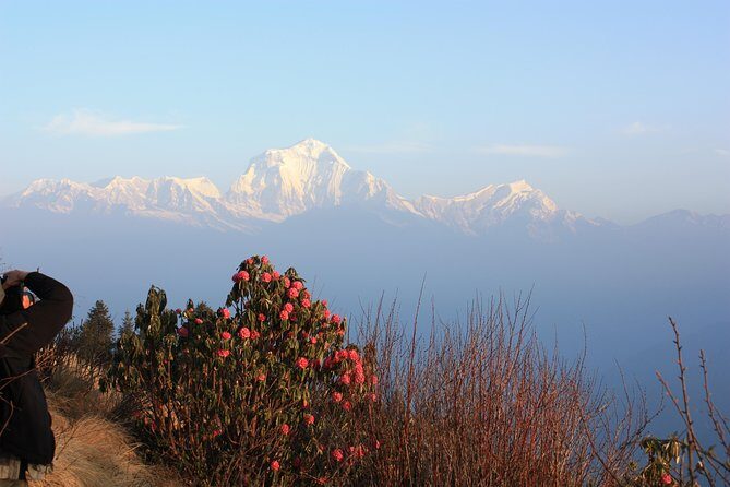 Annapurna Poon Hill Trekking - 4 Days from Pokhara - Final Thoughts: Is This Trek Right for You?