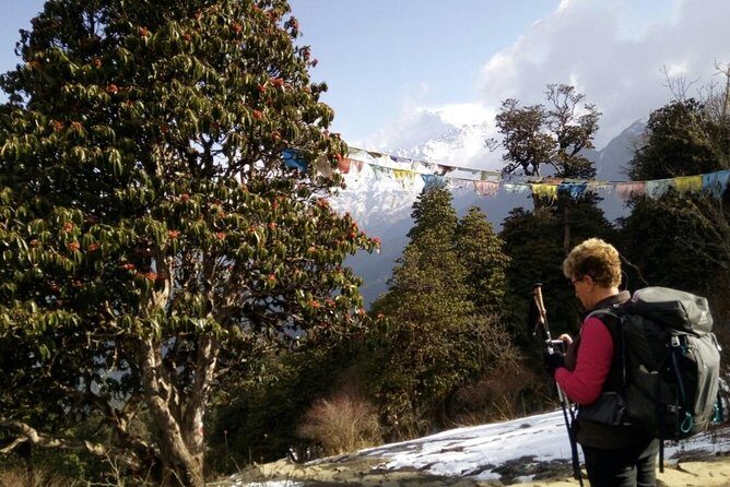 Annapurna Sunrise Trek - Final Leg: Returning to Pokhara and Kathmandu