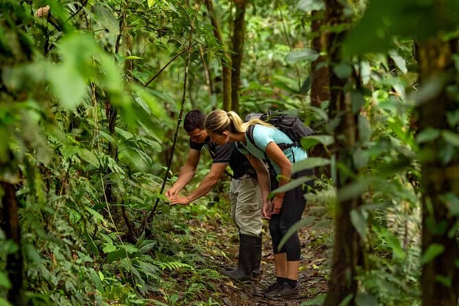 Annapurna Sunset : Hiking to Peace Pagoda via Fewa Lake & Jungle - The Sum Up