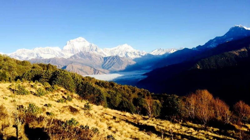 Annapurna Trek with Throng-la Pass - The Guide and Group Experience