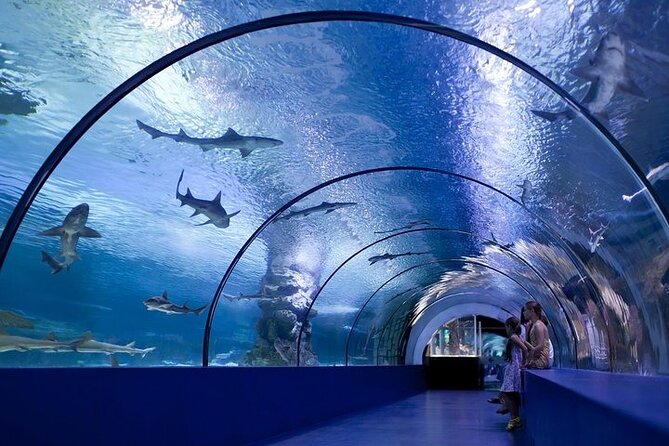Antalya Aquarium and Face to Face Wax Museum Ticket - Key Points