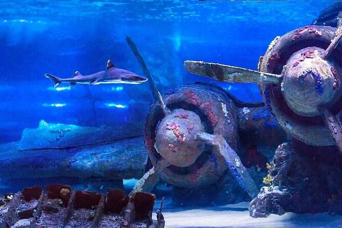 Antalya Aquarium and Face to Face Wax Museum Ticket - The Face to Face Wax Museum