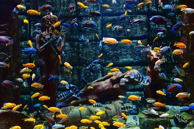 Antalya Aquarium and Face to Face Wax Museum Ticket - Who Is This Tour Best For?