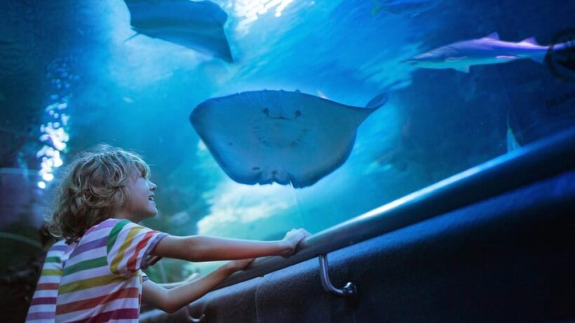 Antalya: Aquarium and Wax Museum Entry Ticket - Frequently Asked Questions