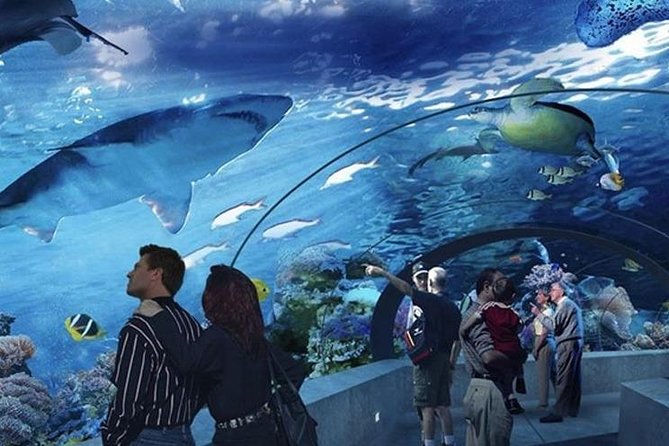 Antalya Aquarium Tour Platinium Tour - Key Points
