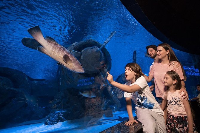 Antalya Aquarium Tour Platinium Tour - The Sum Up