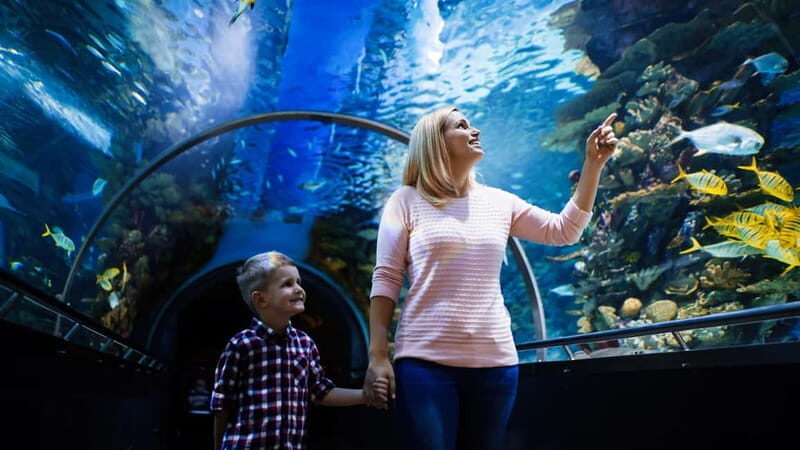 Antalya: Aquarium, Wax Museum, Snow World, Wild Park - The Experience in Detail