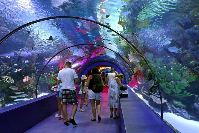 Antalya Aquarium, Wax Museum, Snow World, Wild Park, XD Cinema - Practical Details and Tips