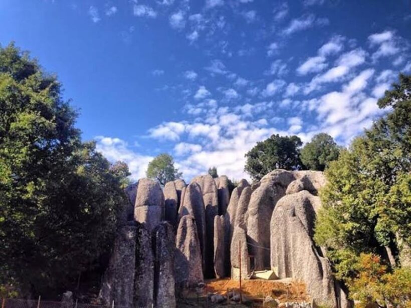 Antalya/Belek: Rafting With Quad Safari, Zipline Options - The Sum Up