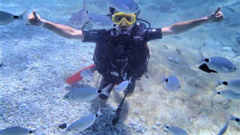 Antalya/ Belek Scuba Diving Tour With 2 Time Dive & Lunch - Key Points