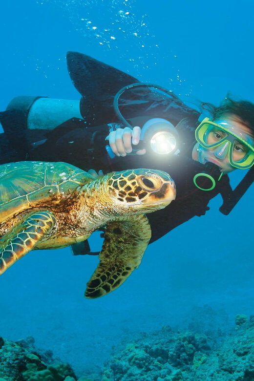 Antalya/ Belek Scuba Diving Tour With 2 Time Dive & Lunch - Who Will Love This Tour?