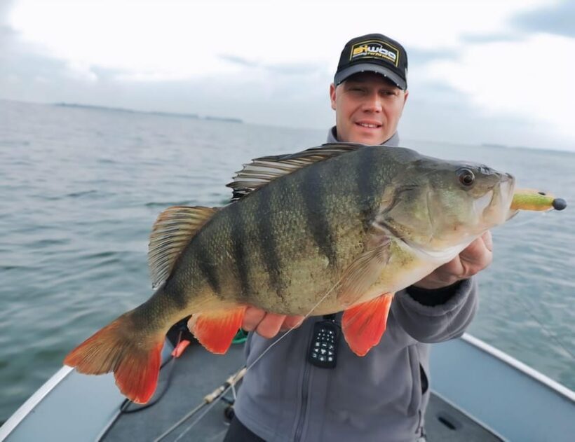 Antalya: Big Fish Barking Tour with Hotel Transfer - Summary: Who Will Love This Tour?