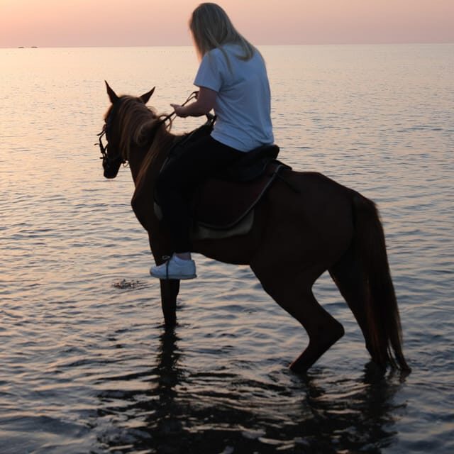 Antalya Horse Safari - The Experience: What We Loved and What to Consider