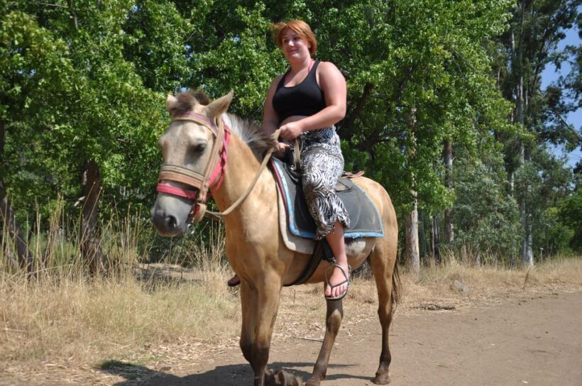 Antalya Horse Safari - Why This Tour Might Be Worth It