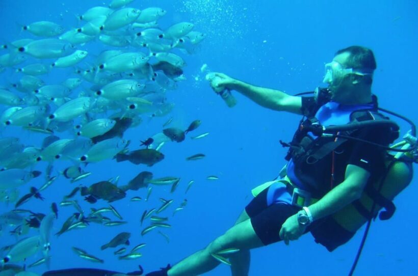 Antalya/ Kemer/ Belek Scuba Diving With Lunch & Transfer - Who Should Consider This Tour?