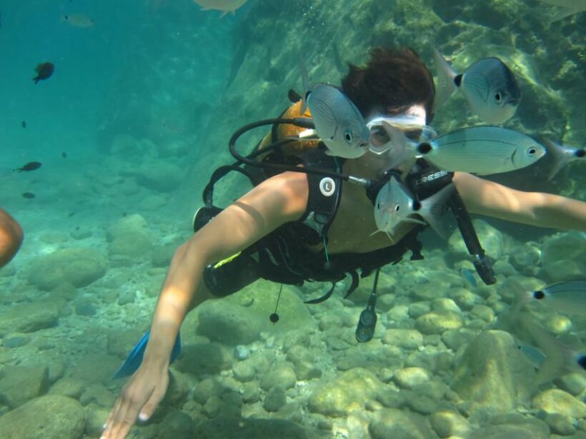 Antalya/Kemer: Scuba Diving Experience with Lunch & Pick up - Key Points