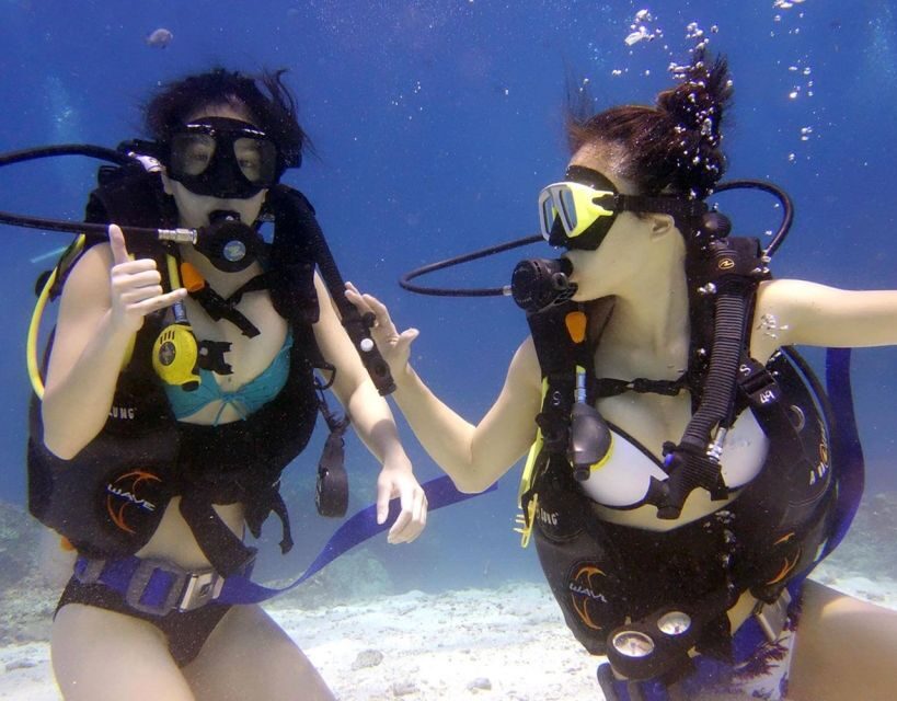 Antalya/Kemer: Scuba Diving with Pickup, Lunch, and 2 Dives - Key Points