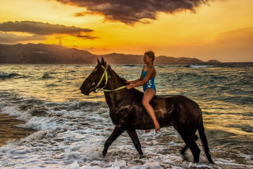 Antalya: Lara Beach & Forrest Horse Riding Safari - Final Thoughts: Is It Worth It?