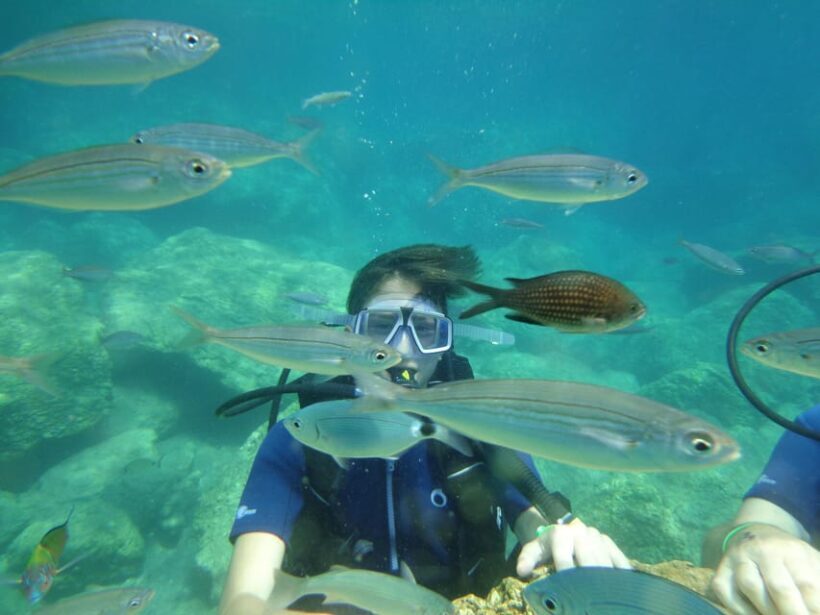 Antalya Scuba Diving Tour, With Lunch & Return Transfers - Practical Details: What You Need to Know