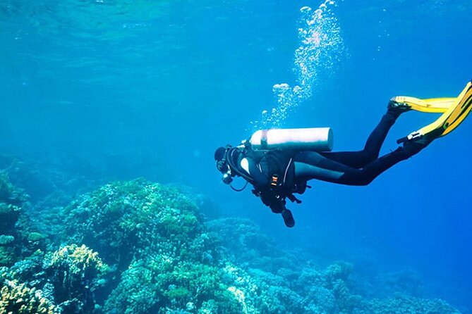 Antalya Scuba Diving With Transfer From Belek,Lara,Kemer Hotels - Meeting and Pickup Information