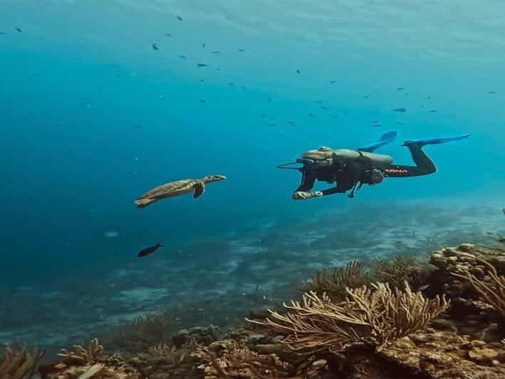 Antalya, Side and Alanya: Scuba Diving with Lunch & 2 Dives - The Value of the Experience
